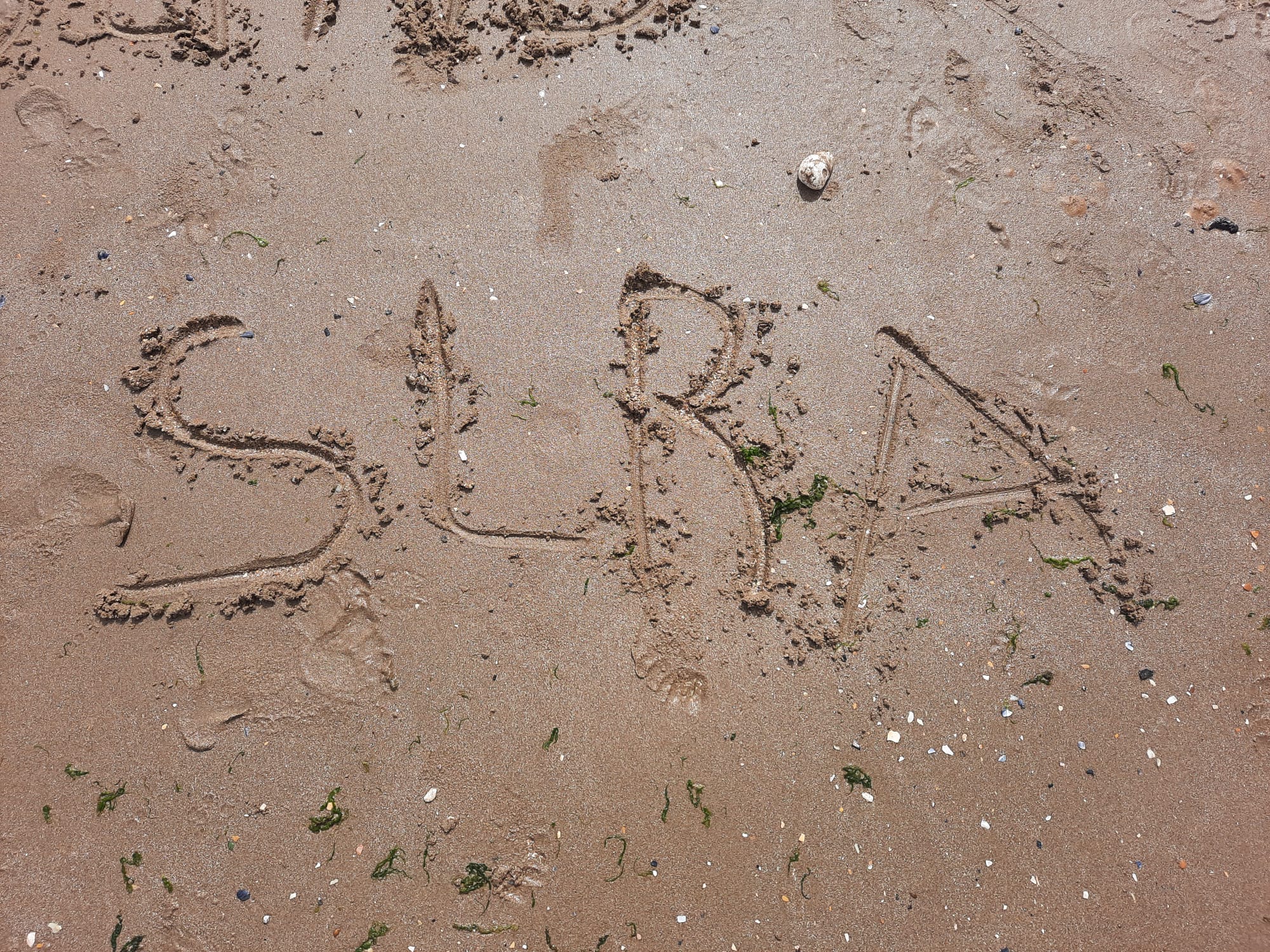 It’s summer – It’s beach time! – SLRA